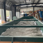 XACT Systems Composting Home - XACT Systems Composting